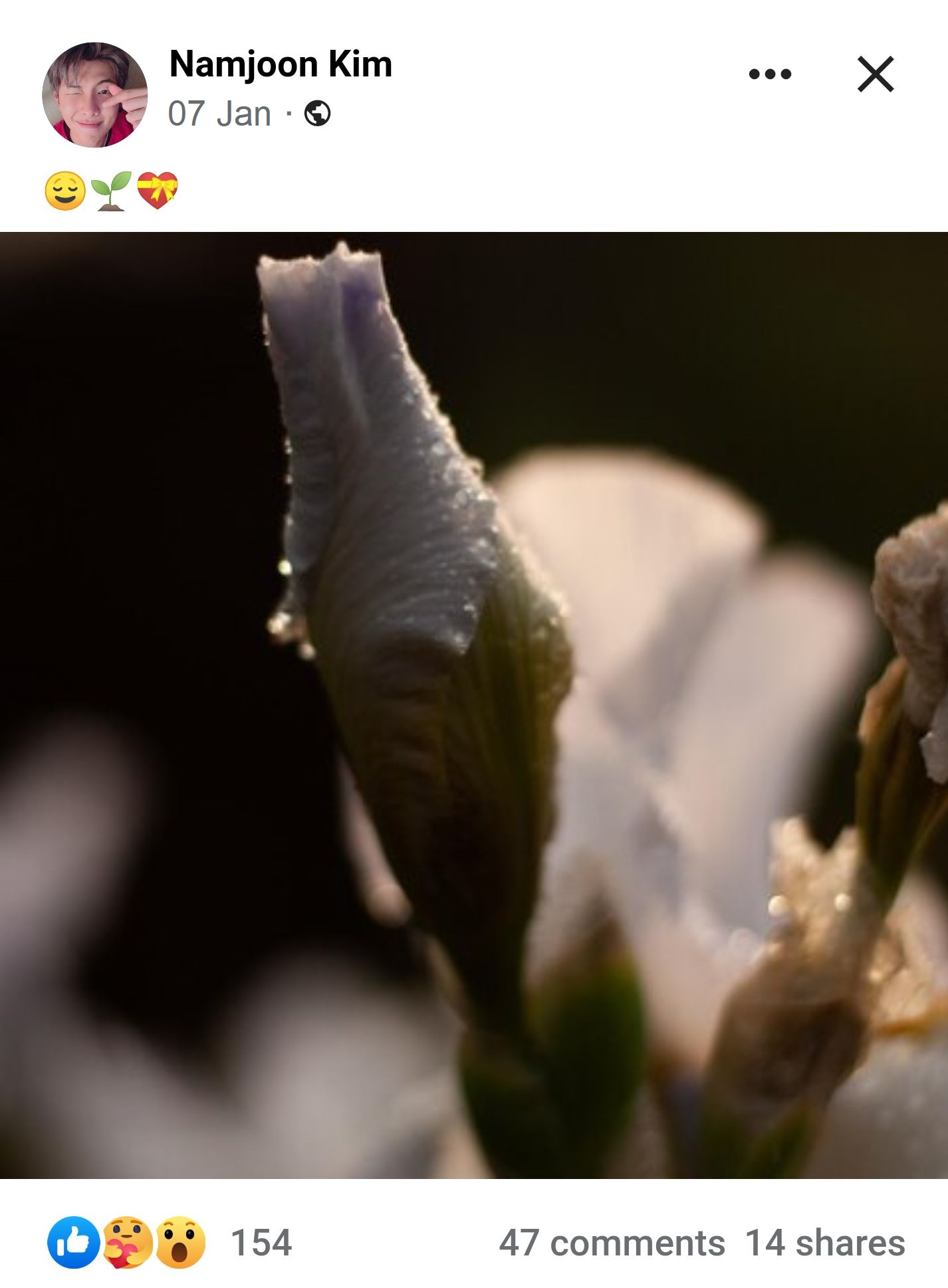 SoulBloom - mochiparadox - 방탄소년단 | Bangtan Boys | BTS [Archive of Our Own]