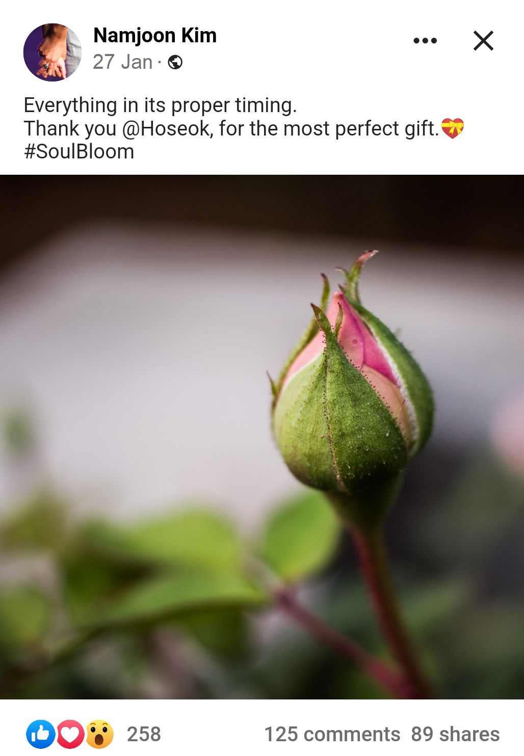 SoulBloom - mochiparadox - 방탄소년단 | Bangtan Boys | BTS [Archive of Our Own]