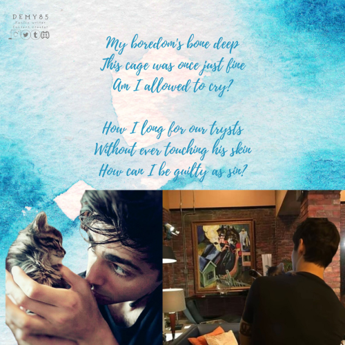 Of Flowers and Felines - Chapter 1 - carryonmywaywardshadowhunter ...