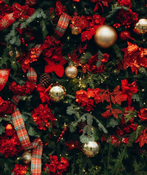 Last Christmas, I Gave You My Heart - Chapter 1 - Devious_Muffin ...