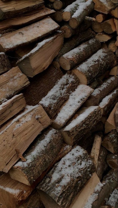 Last Christmas, I Gave You My Heart - Chapter 12 - Devious_Muffin ...