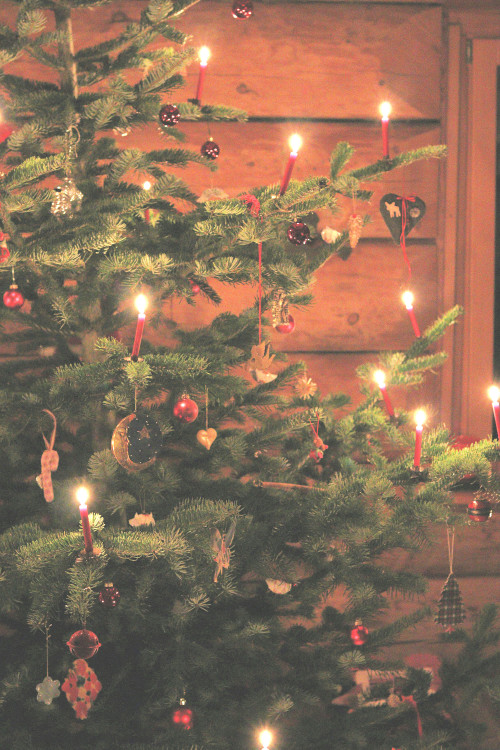 Last Christmas, I Gave You My Heart - Chapter 8 - Devious_Muffin ...