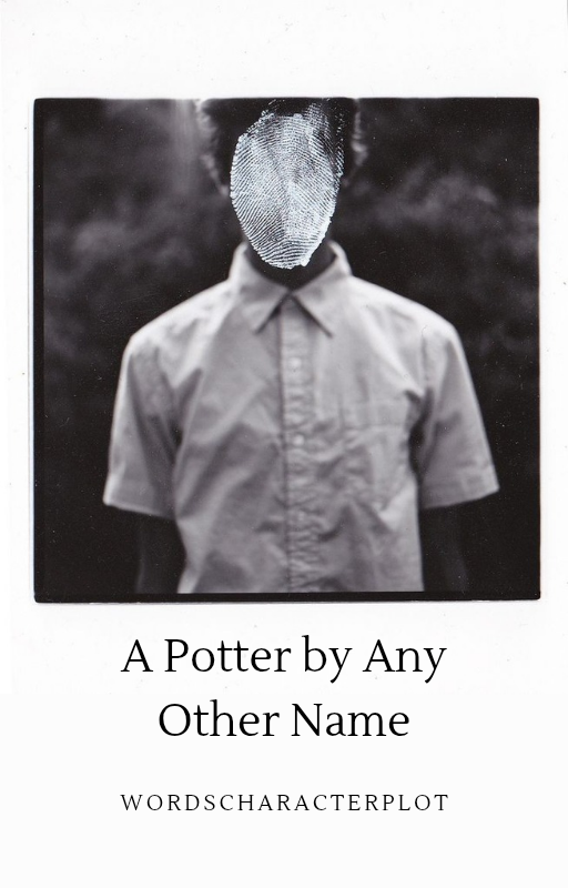 Cover for A Potter by Any Other Name by WordsCharacterPlot ...