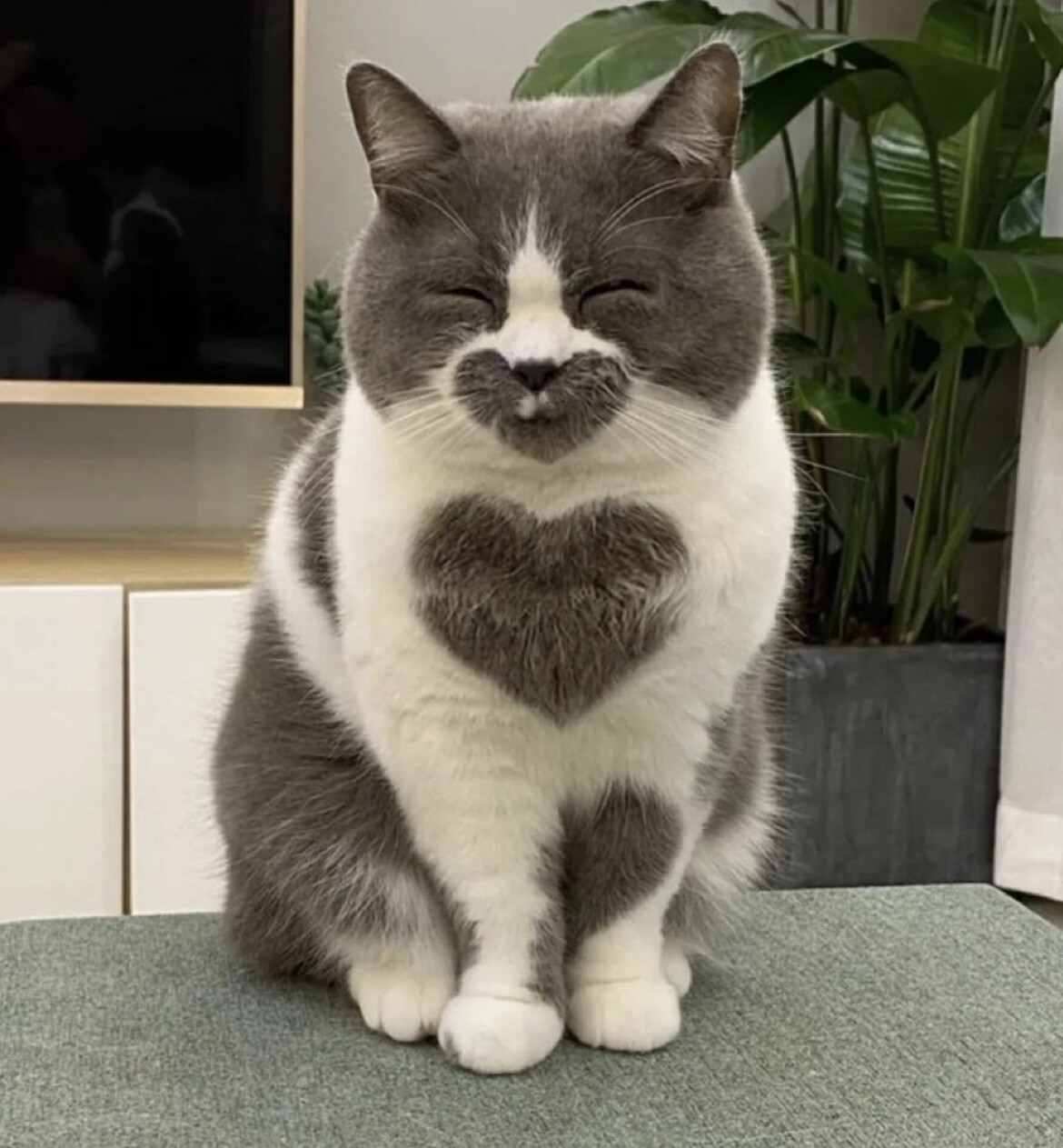 the devil has 2 eyes and buck has 4 - leoniepersimmon - 9-1-1 (TV ...