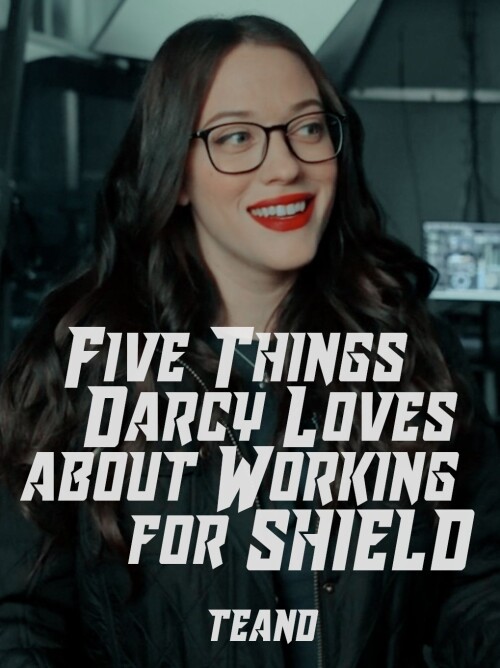 ebook cover for Five Things Darcy Loves About Working for SHIELD by ...